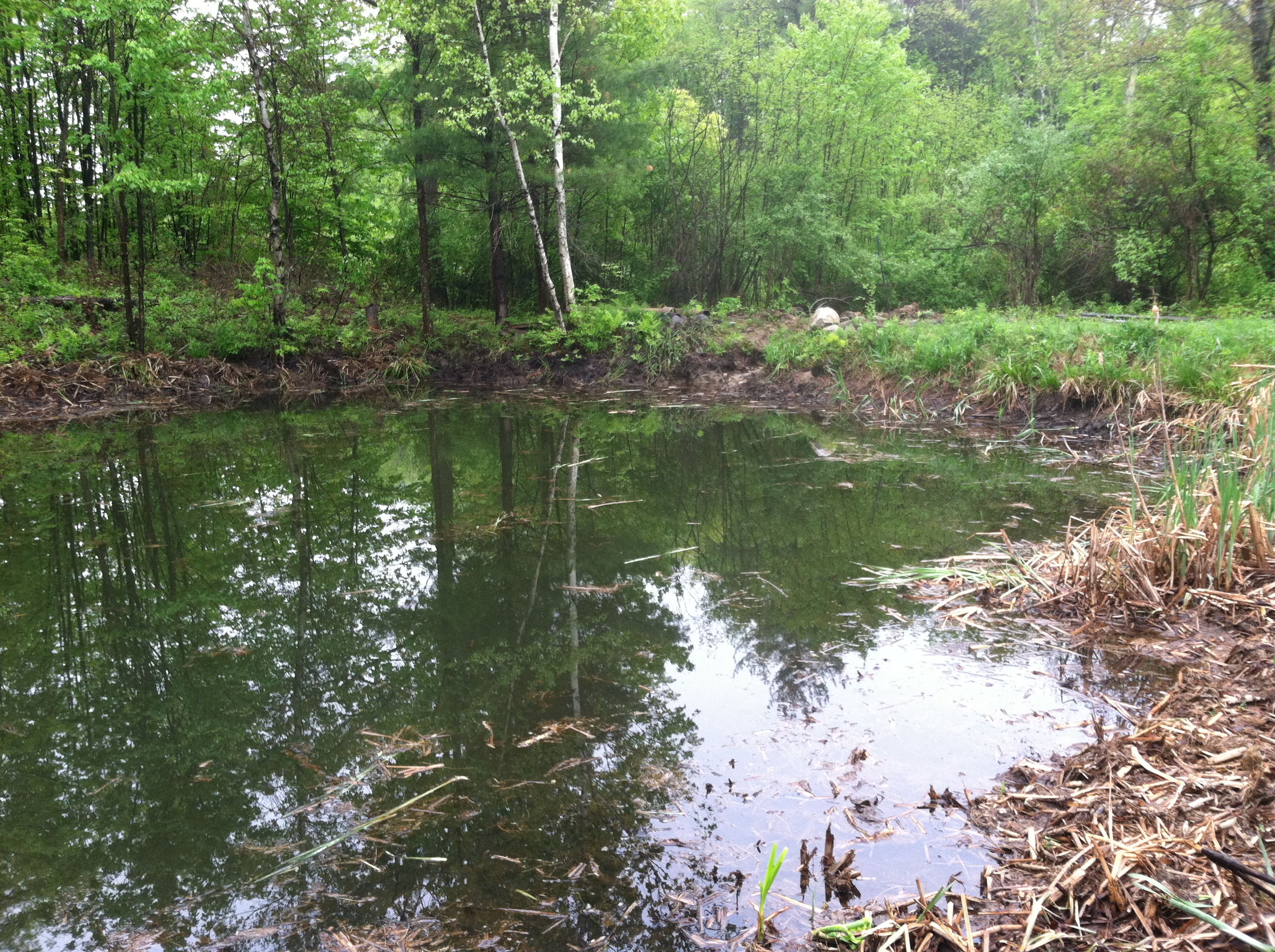 In Praise of Mud - Panorama of a Pastor's Wife